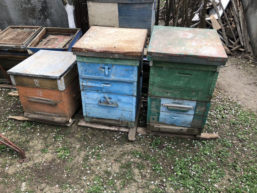 Ульи дадан 10, 12 рамок