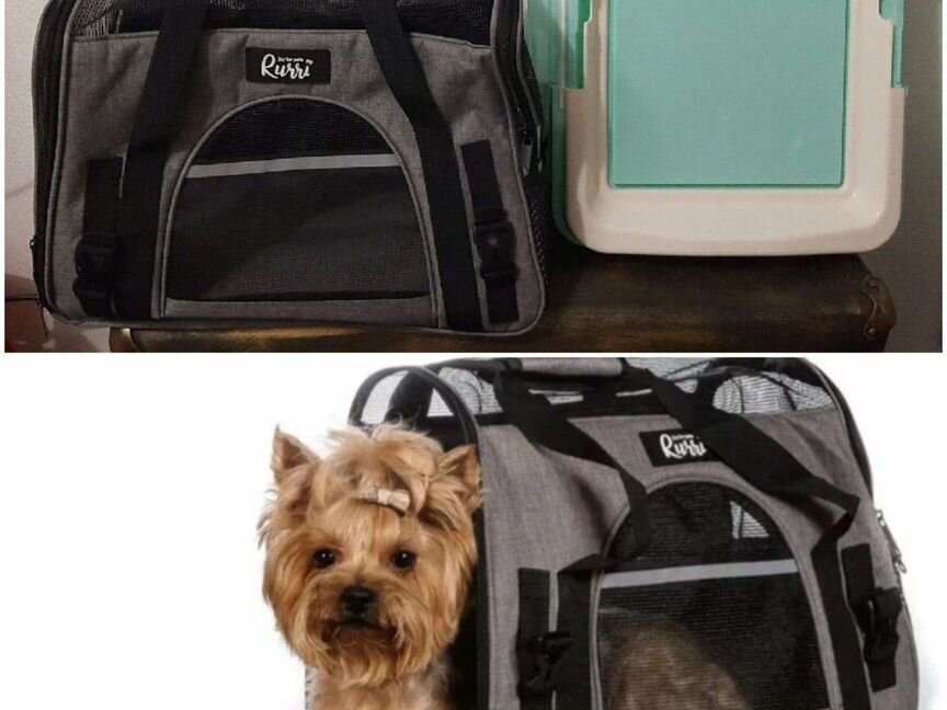 Лоток (48 х 35 см) и сумка- переноска Rurri