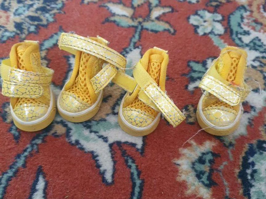 Ботинки для маленьких собак