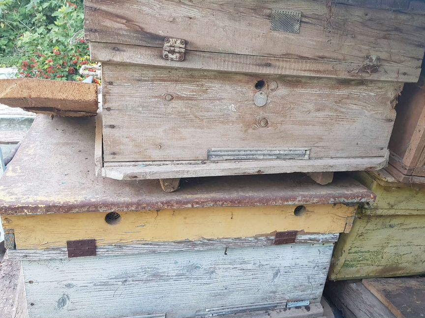 Улики для пчел б/у