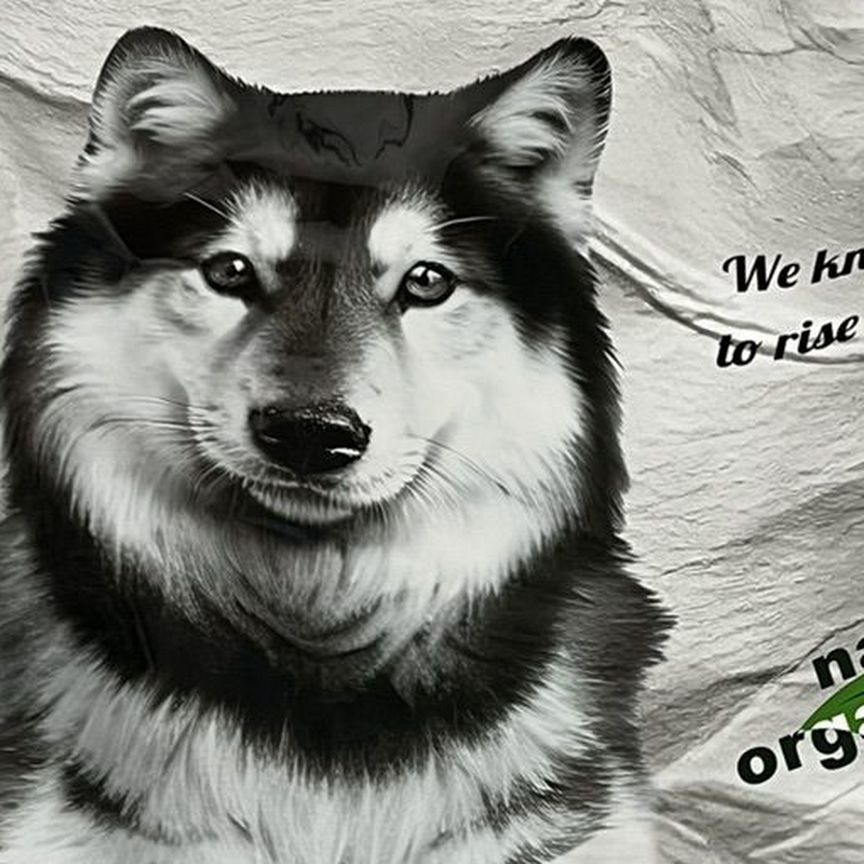 Корм Acari ciar Regular телятина/рыба