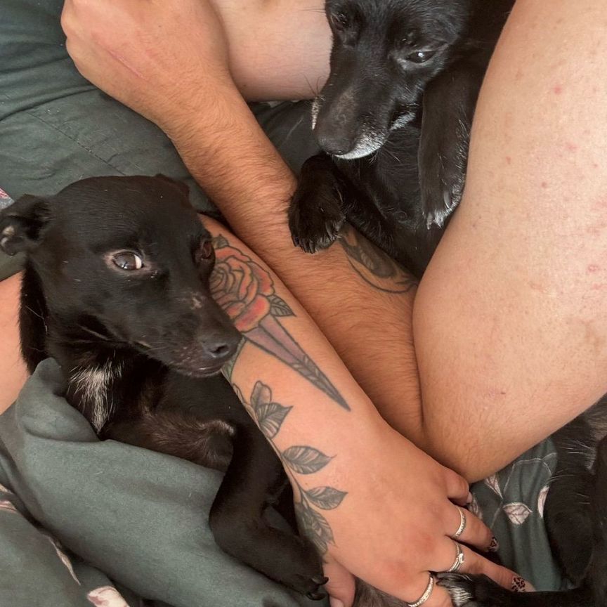 Луна ищет своих родителей