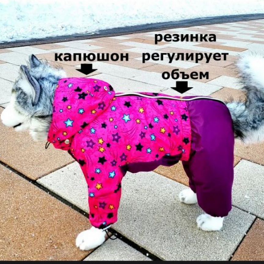 Одежда для собак