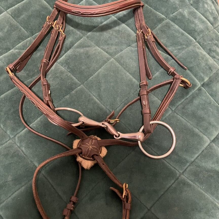 Уздечка коричневая Dion full