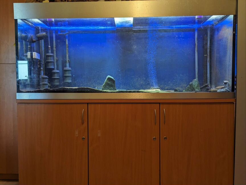 Аквариумы с тумбой светом, фильтры eheim