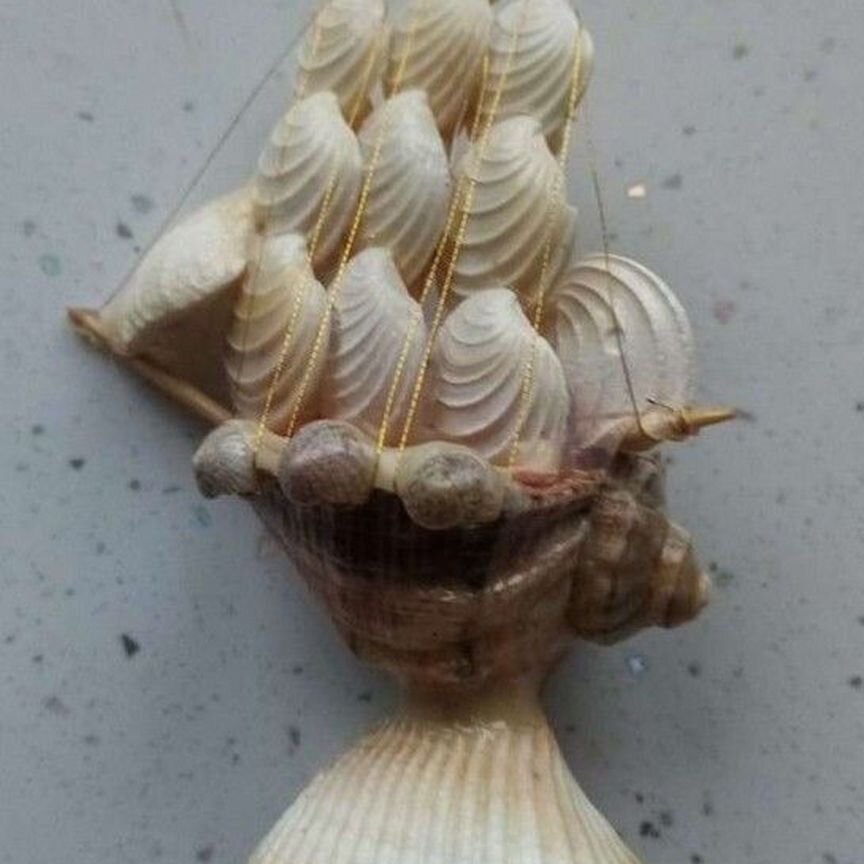 Ракушки кораблик дворец