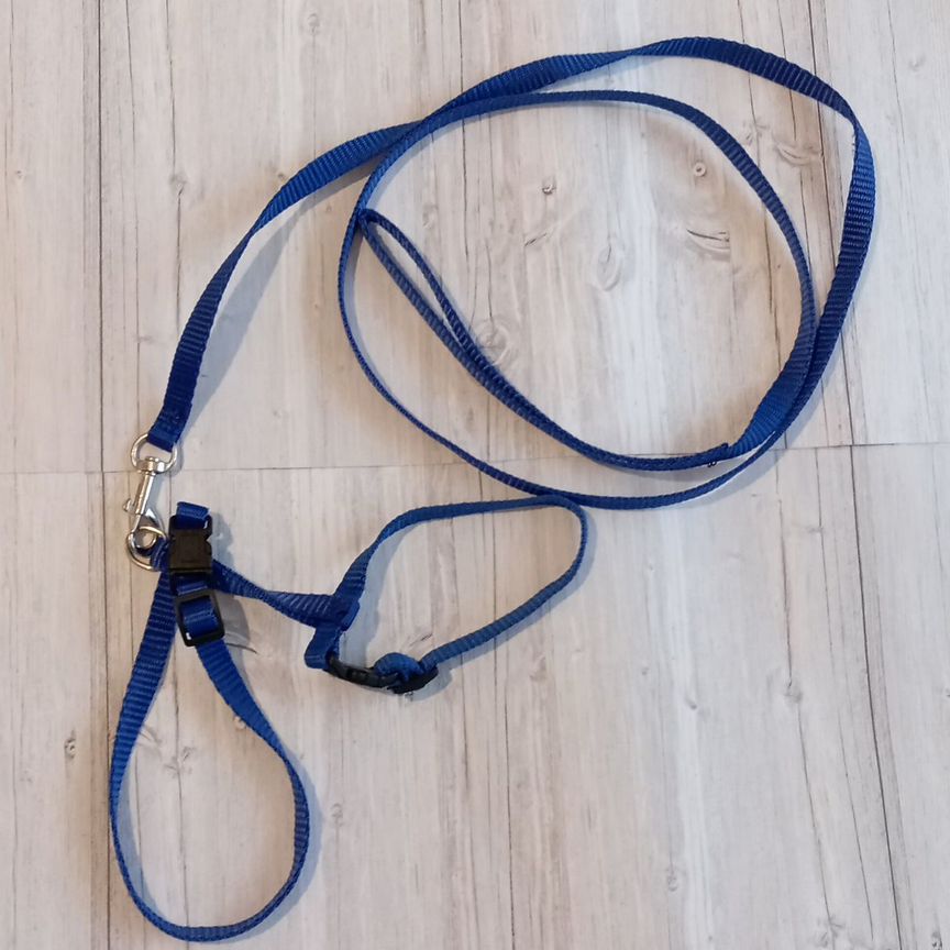 Шлейка для маленьких собак или кошек новая