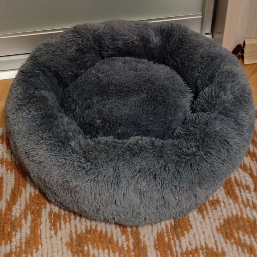 Лежанка для животных бу