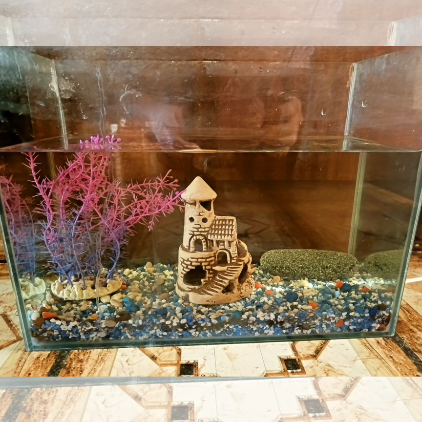 Аквариум(небольшой