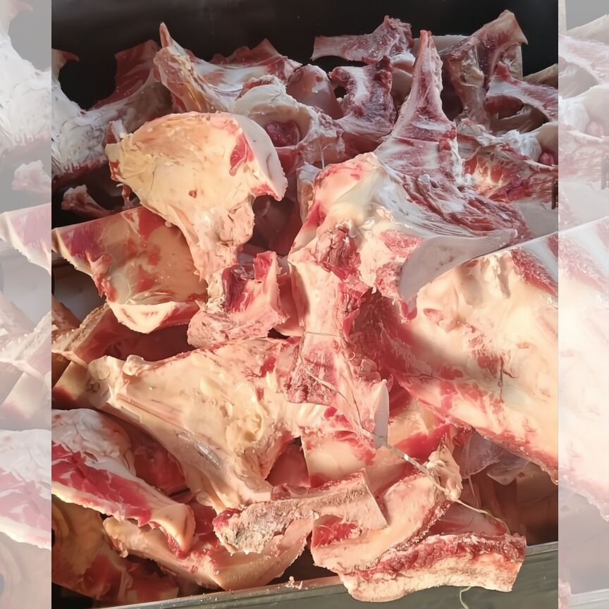 Кости для собак говяжьи