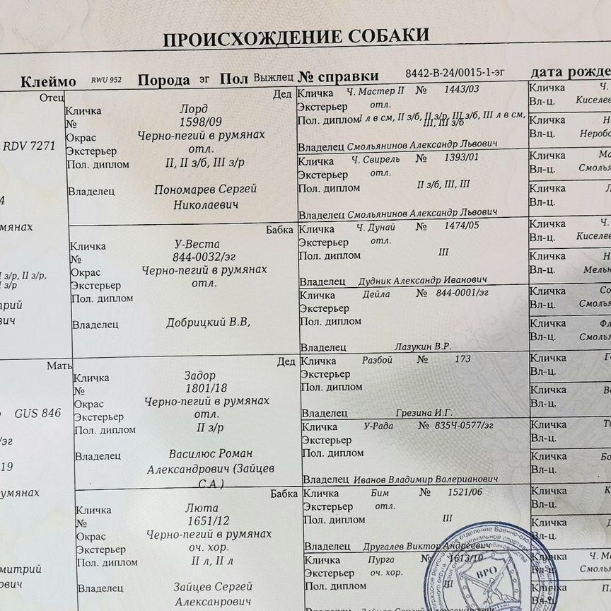 Эстонская гончая