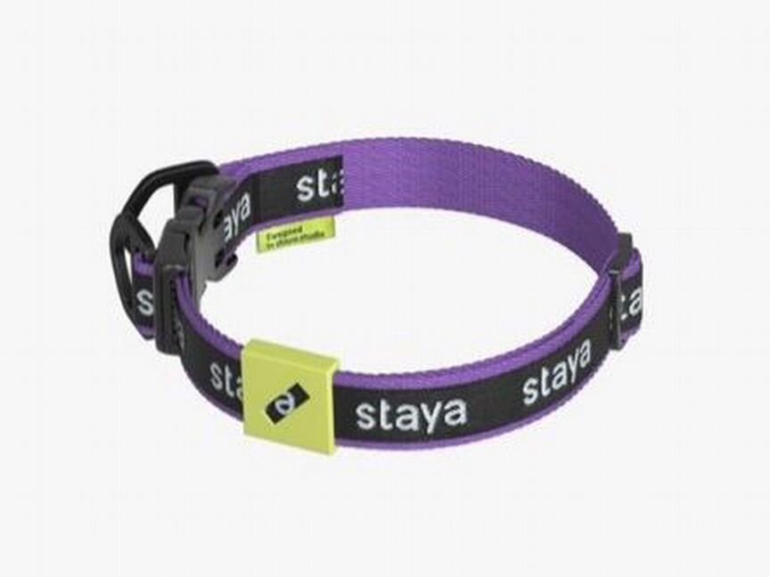 Ошейник staya