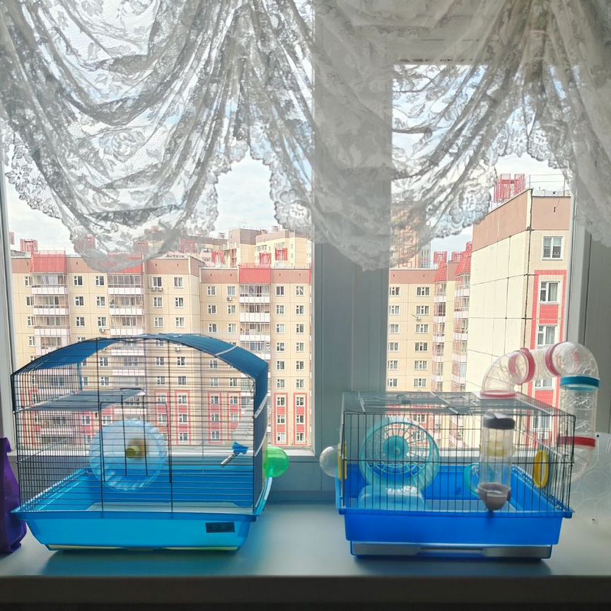 Две клетки для хомяка, подойдут для джунгарика