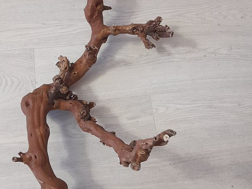 Коряги для рептилий
