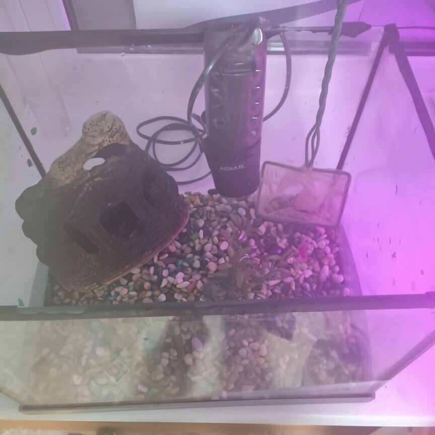 Аквариум для рыбок