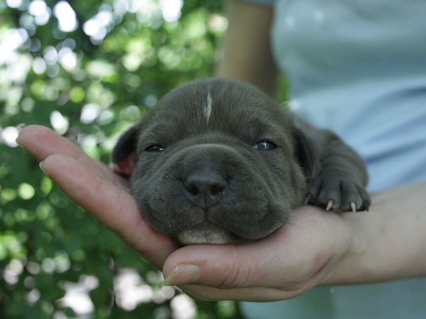 Брутальный красавчик