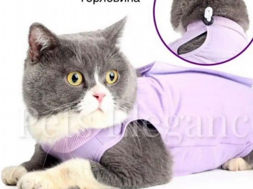 Попона для кошек