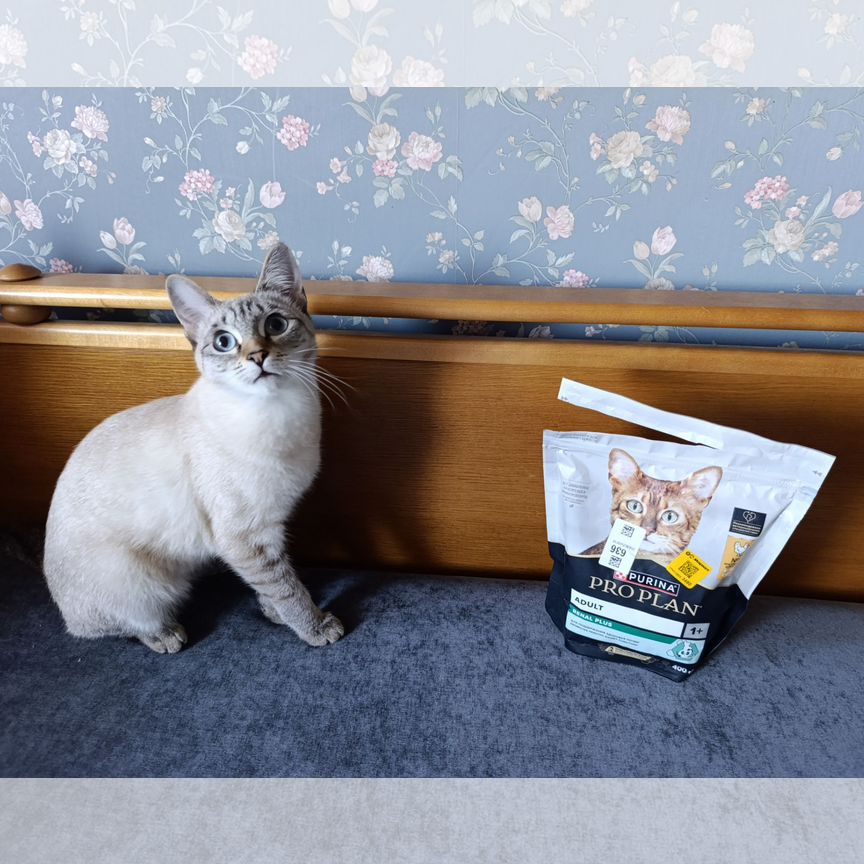 Сухой корм для кошек proplan с курицей