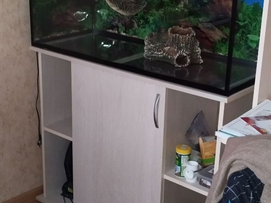 Аквариум для красноухой черепахи