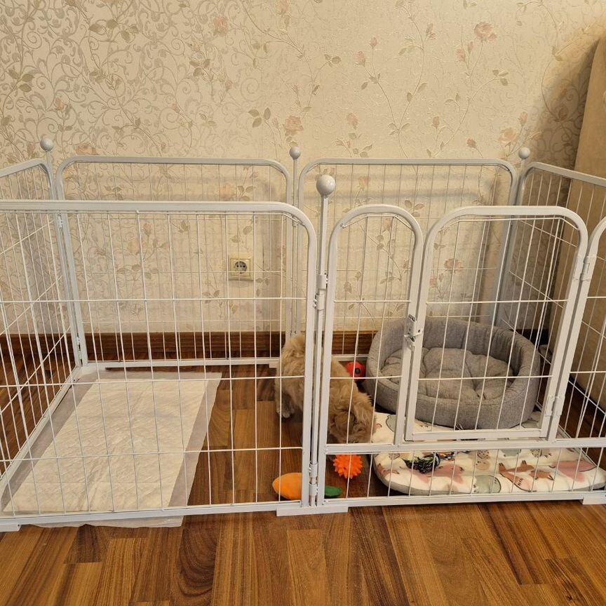 Вольер для собак в квартиру