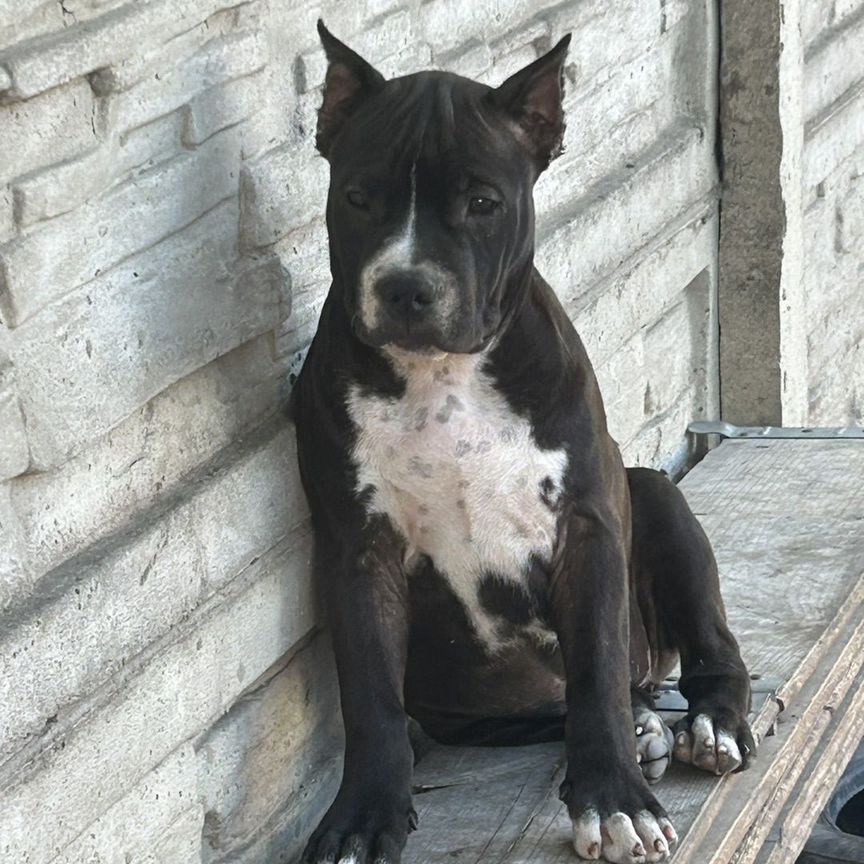 Девочка в тяжёлом типе