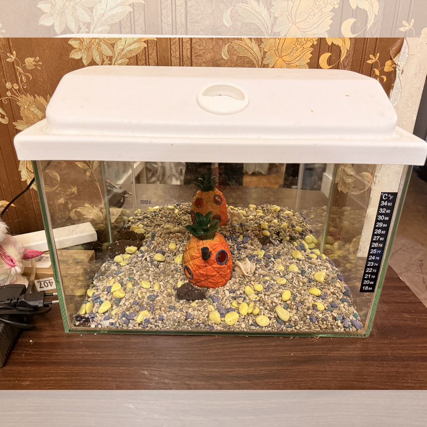 Аквариум на 20л под ключ