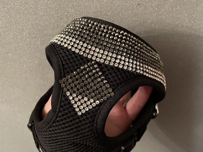 Шлейка для маленькой собаки