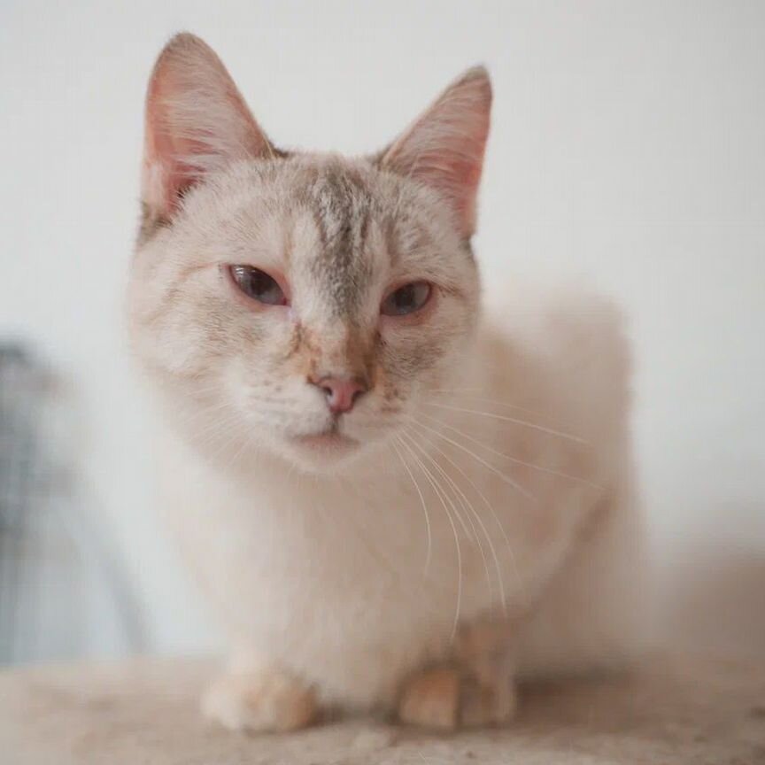 Предали и бросили