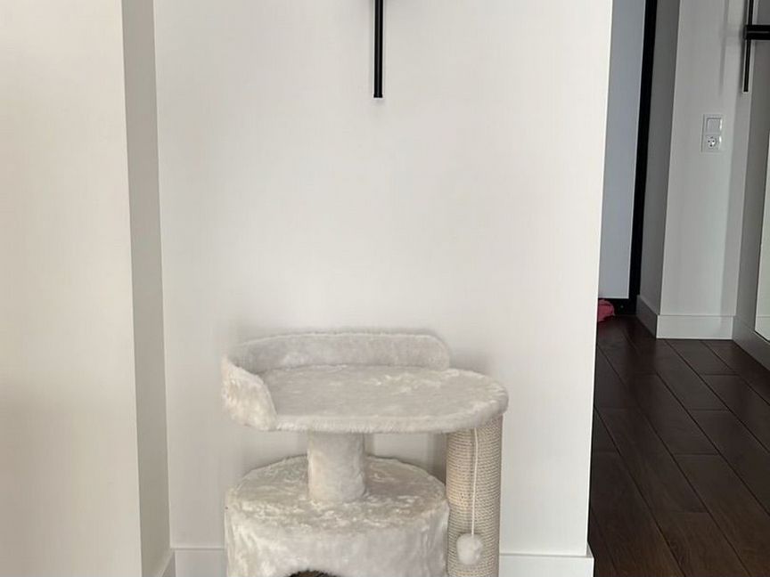 Кошачий домик