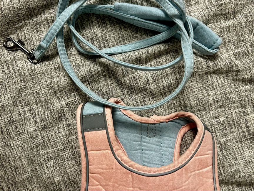 Шлейка для маленьких собак