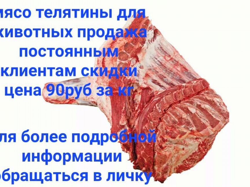 Корм для собак