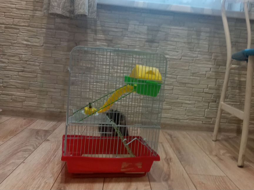 Клетка для грызунов