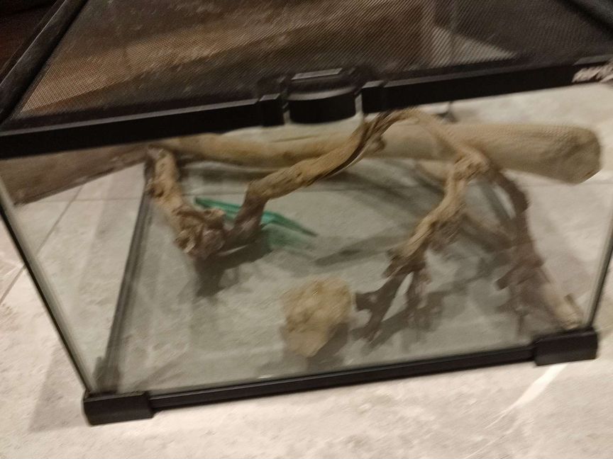 Террариум для паука