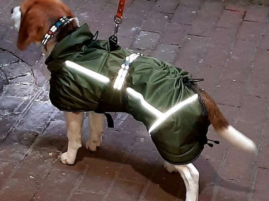 Одежда для собак(parka-2)