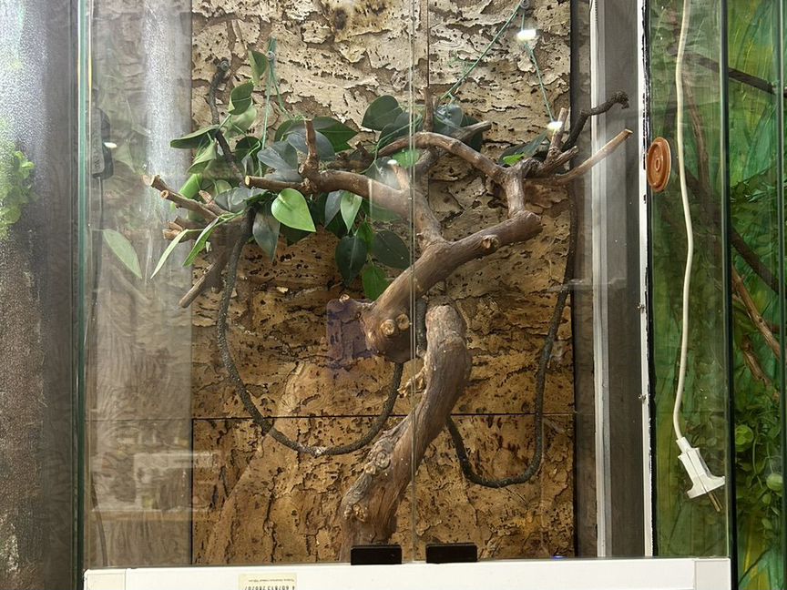 Вертикальный террариум б/у