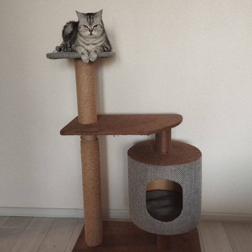 Когтеточка с домиком