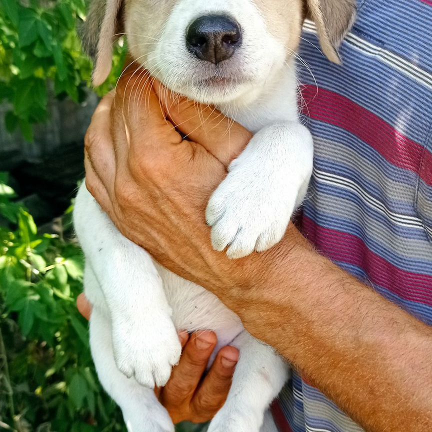 Обалденная девчонка, 2 мес