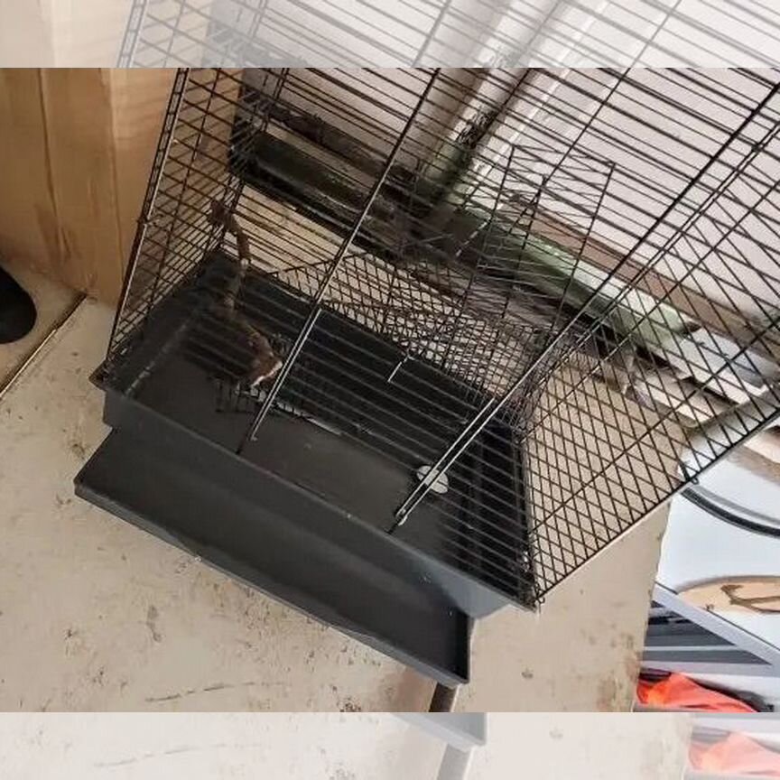 Клетка для попугая большая