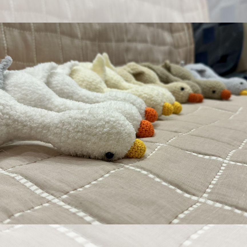 Гусь обнимусь