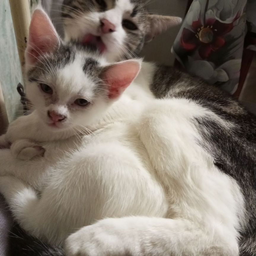 Беленький мальчик