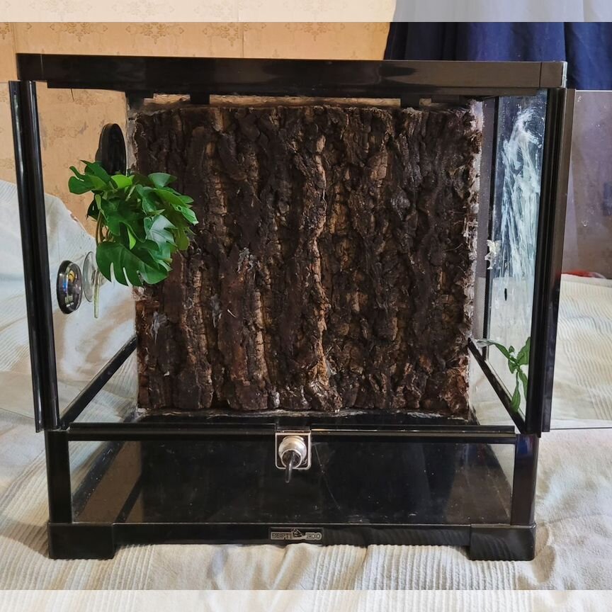 Террариум для рептилий