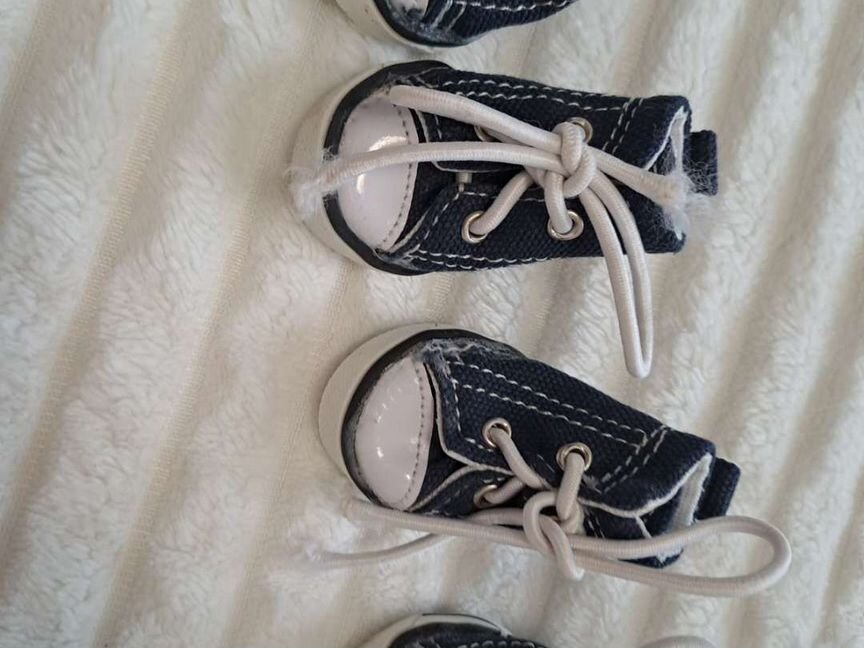 Обувь для маленьких собак