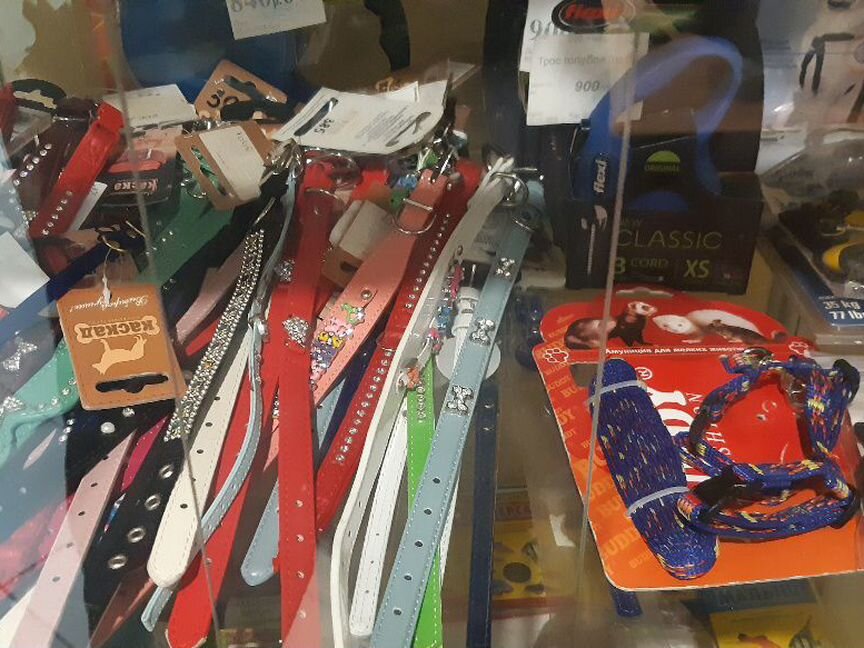 Товары для животных