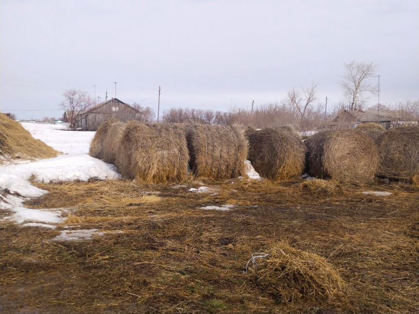 Солома Пшеничная