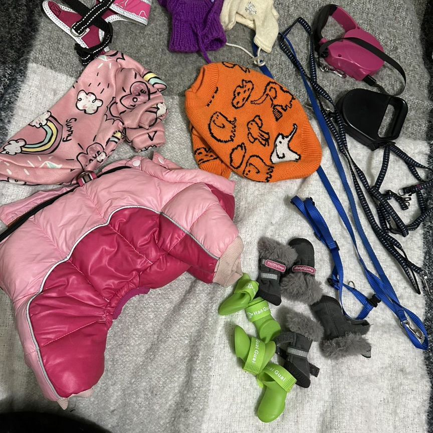 Вещи на маленькую собачку