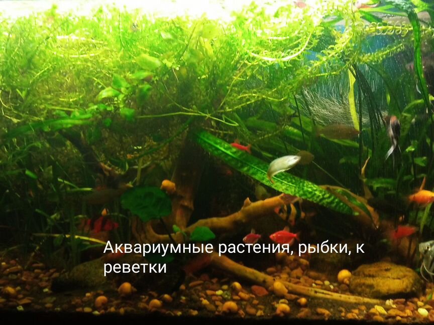 Украшение для аквариума