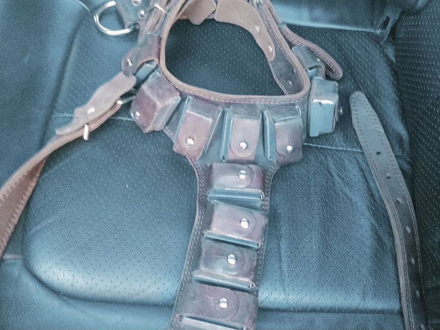 Шлея для собаки с утяжелителями