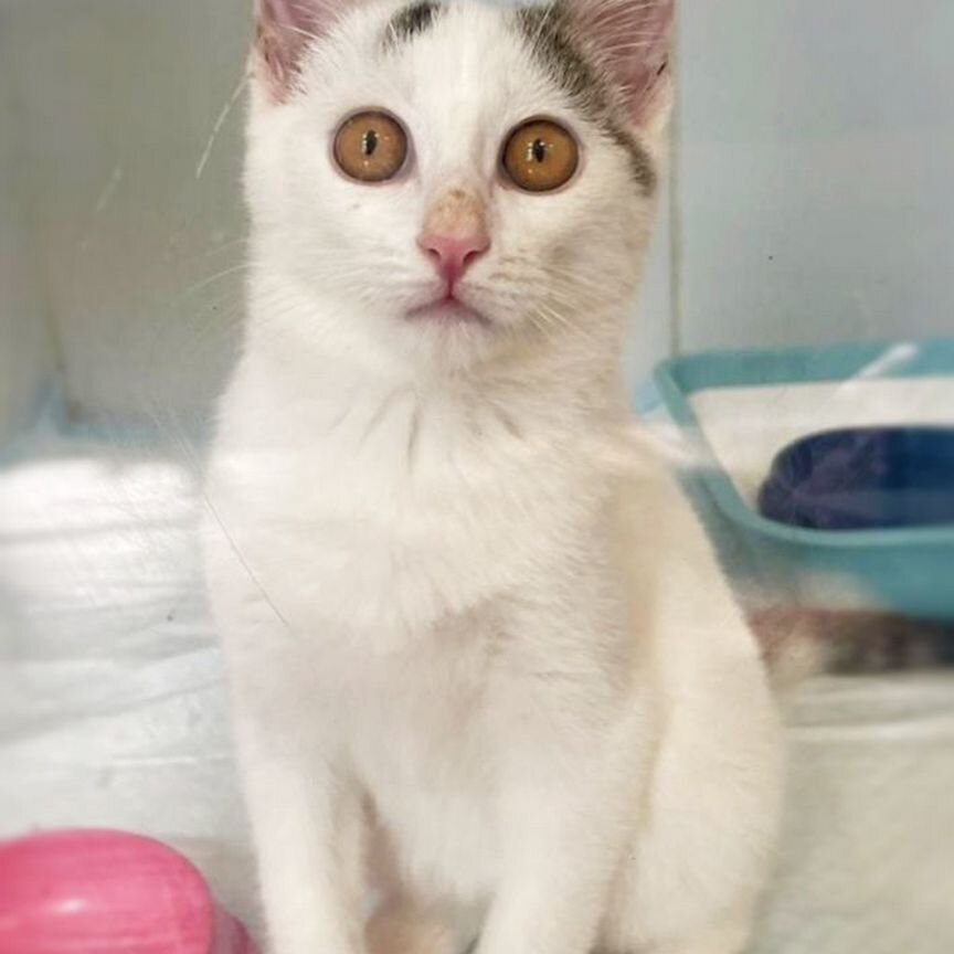 Пусть мама услышит