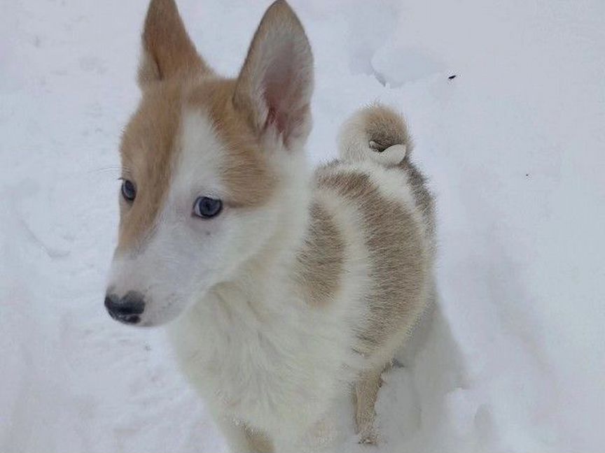 Две милые сестрёнки