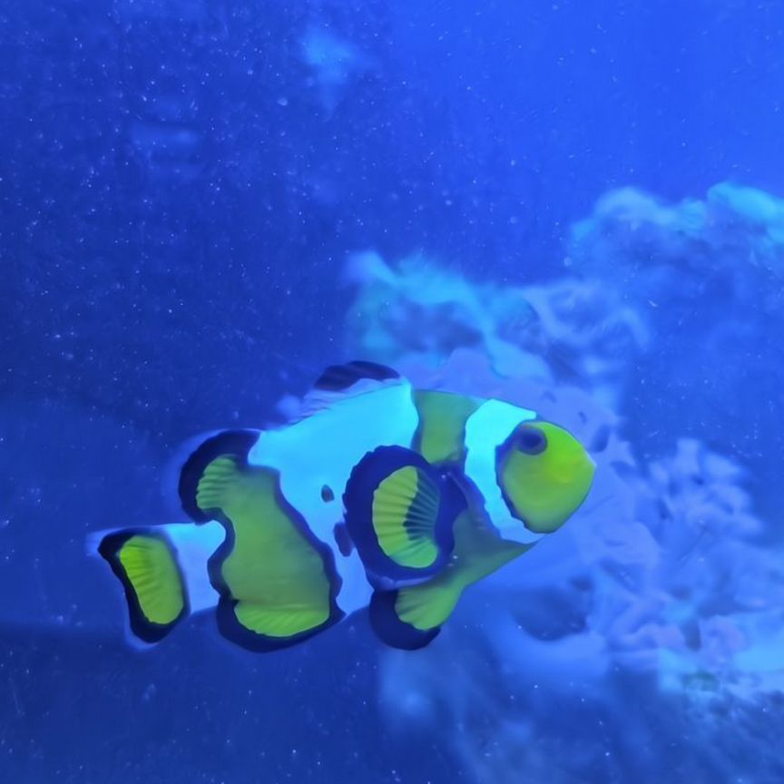 Аквариум 120 литров с тумбой